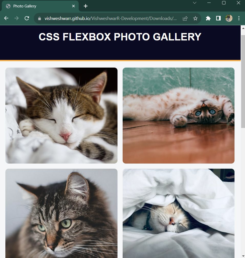 Vishweshwar Raghavan on LinkedIn: #webdevelopment #html #css # ... Vishweshwar Raghavan on LinkedIn: #webdevelopment #html #css # ...