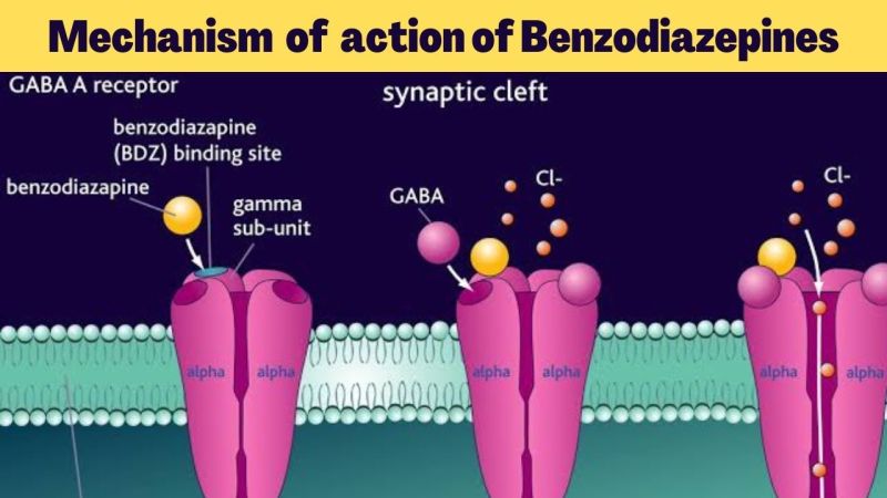 Mechanism of Action of Benzodiazepines....... | Priyanka Soni Mechanism of Action of Benzodiazepines....... | Priyanka Soni