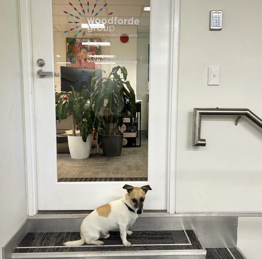 Woodforde Group on LinkedIn: #meettheteam #officedogs #recruitment # ... Woodforde Group on LinkedIn: #meettheteam #officedogs #recruitment # ...