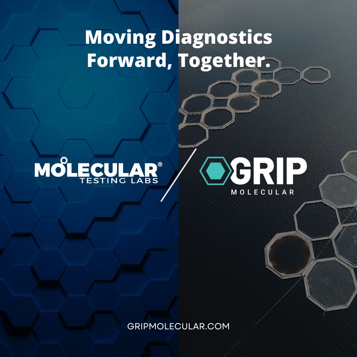 GRIP Molecular Technologies, Inc on LinkedIn: #healthtech # ... GRIP Molecular Technologies, Inc on LinkedIn: #healthtech # ...