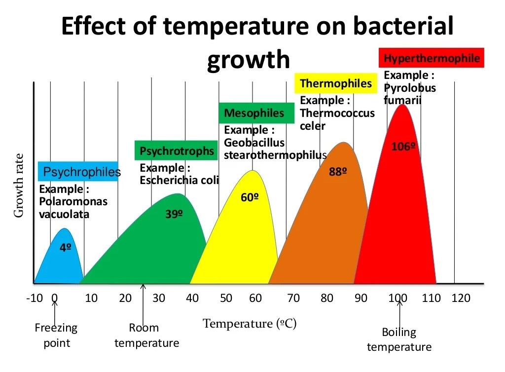 How to choose the right microorganisms for growth | Anusree K P posted ... How to choose the right microorganisms for growth | Anusree K P posted ...