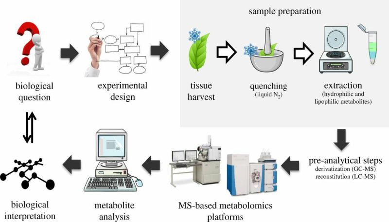 Creative Proteomics on LinkedIn: Plant Metabolomics Service Creative Proteomics on LinkedIn: Plant Metabolomics Service