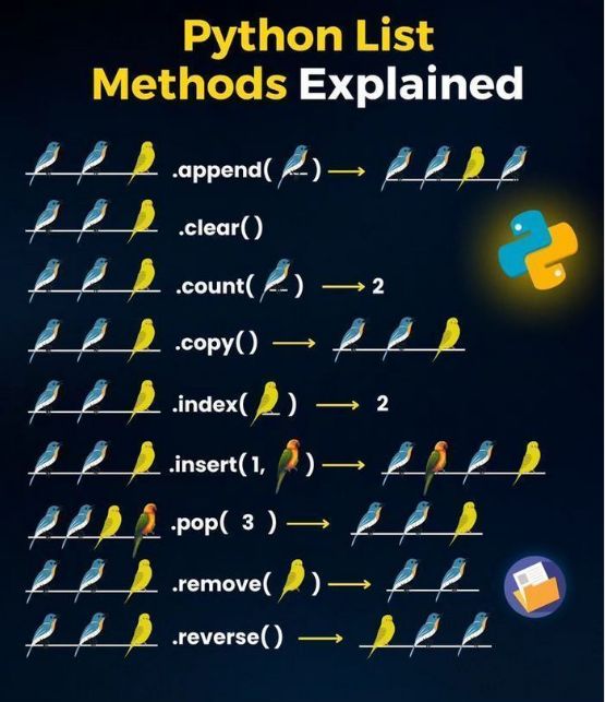 #python #pythonprogramming #coding #programming #datascience ... #python #pythonprogramming #coding #programming #datascience ...