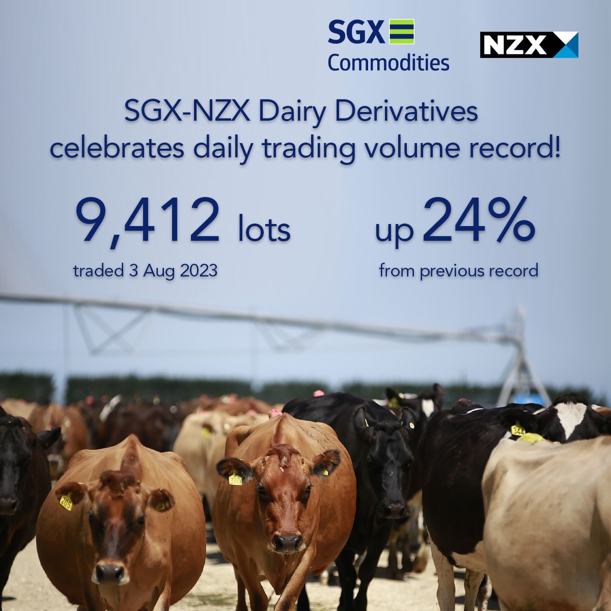 ππ Record breaking day for SGX-NZX Dairy Derivatives! ππ Yesterday's ... ππ Record breaking day for SGX-NZX Dairy Derivatives! ππ Yesterday's ...