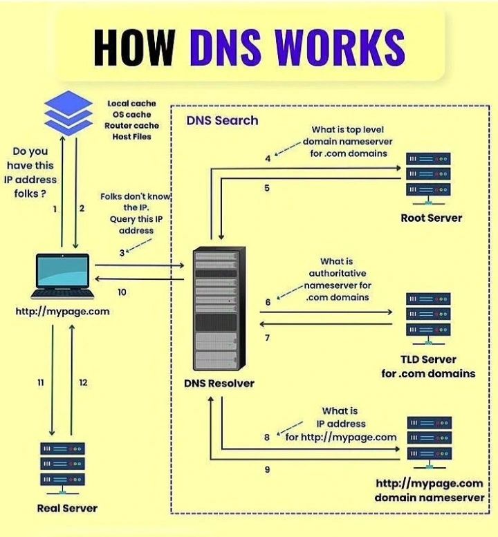 #dns #cse #sde #computernetworks #protocol #dsa #domain #url #sql ... #dns #cse #sde #computernetworks #protocol #dsa #domain #url #sql ...