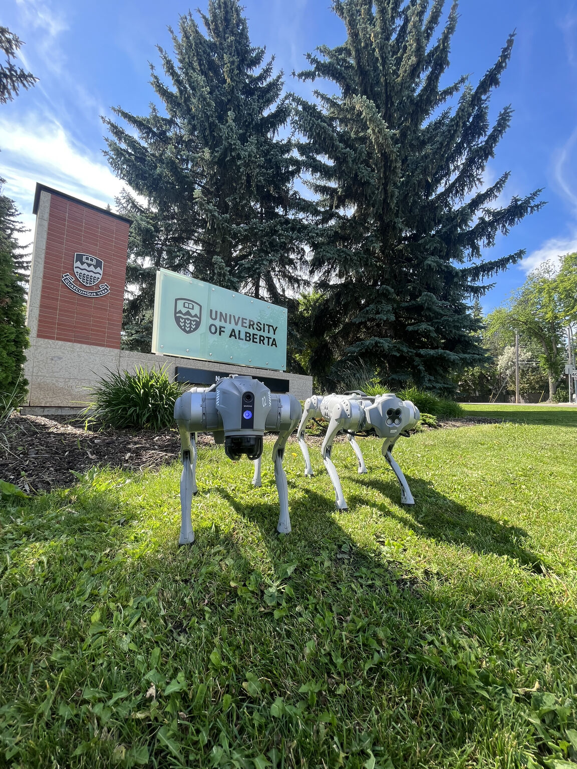 UAlberta Geotechnical Centre on LinkedIn: #geotechnicalengineering # ... UAlberta Geotechnical Centre on LinkedIn: #geotechnicalengineering # ...
