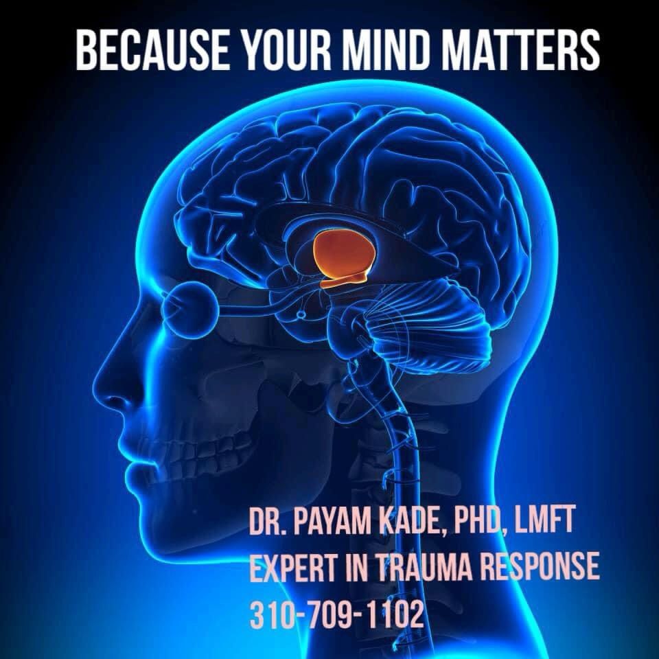 Dr. Payam T. Kade, PH.D. posted on LinkedIn Dr. Payam T. Kade, PH.D. posted on LinkedIn