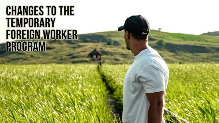 Rob D. on LinkedIn: The Temporary Foreign Worker (TFW) Program is ... Rob D. on LinkedIn: The Temporary Foreign Worker (TFW) Program is ...