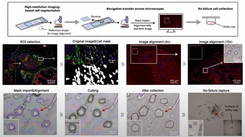 TissueGnostics Asia Pacific on LinkedIn: 📣 Multimodal Single-cell ... TissueGnostics Asia Pacific on LinkedIn: 📣 Multimodal Single-cell ...