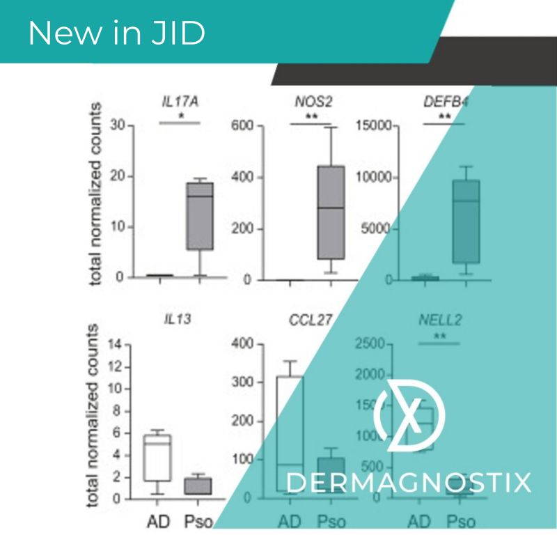 Abbey Lowery on LinkedIn: Gene Expression–Based Molecular Test as ... Abbey Lowery on LinkedIn: Gene Expression–Based Molecular Test as ...