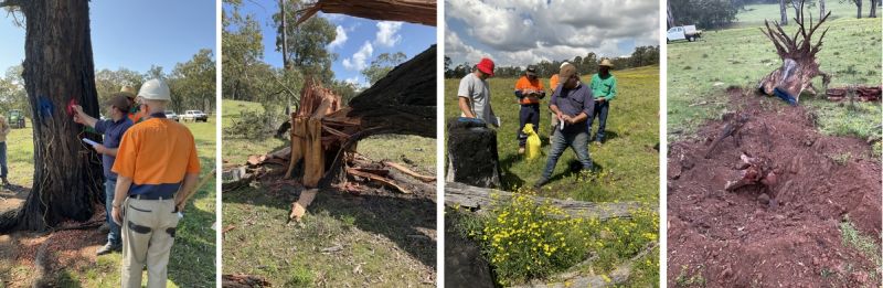 Agricultural Blasting Training Its been a while in the making but BMI ... Agricultural Blasting Training Its been a while in the making but BMI ...