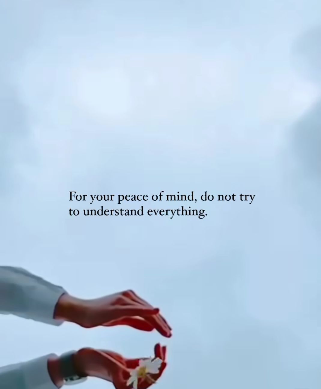 Pragya Mishra on LinkedIn: #peace Pragya Mishra on LinkedIn: #peace