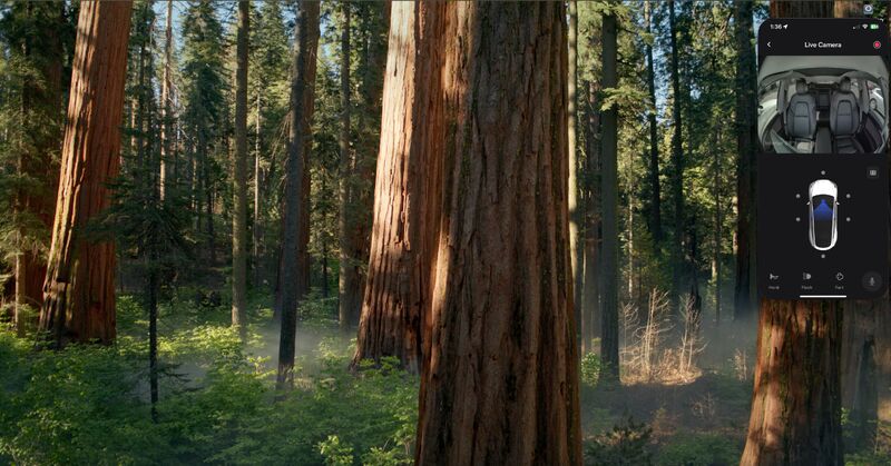 I just upgraded my Mac Mini to macOS Sequoia over lunch. The I just upgraded my Mac Mini to macOS Sequoia over lunch. The