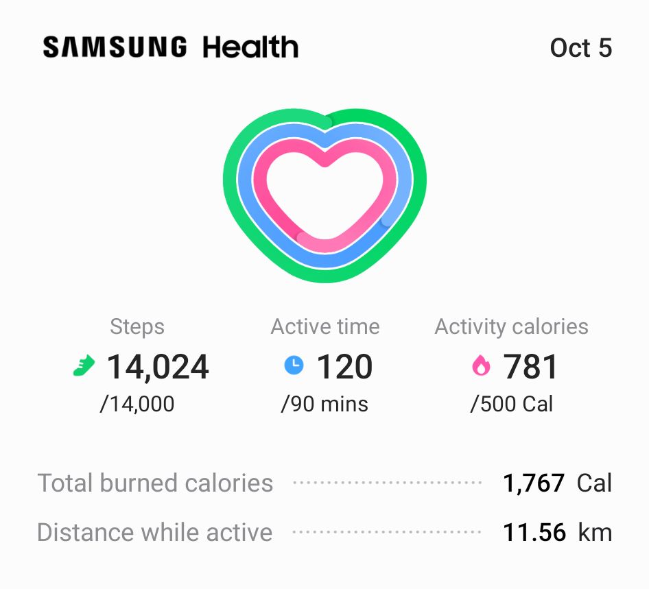 Khurshid Anwar on LinkedIn: Total Daily Steps- 5 October 2024 (8C/16C) Khurshid Anwar on LinkedIn: Total Daily Steps- 5 October 2024 (8C/16C)