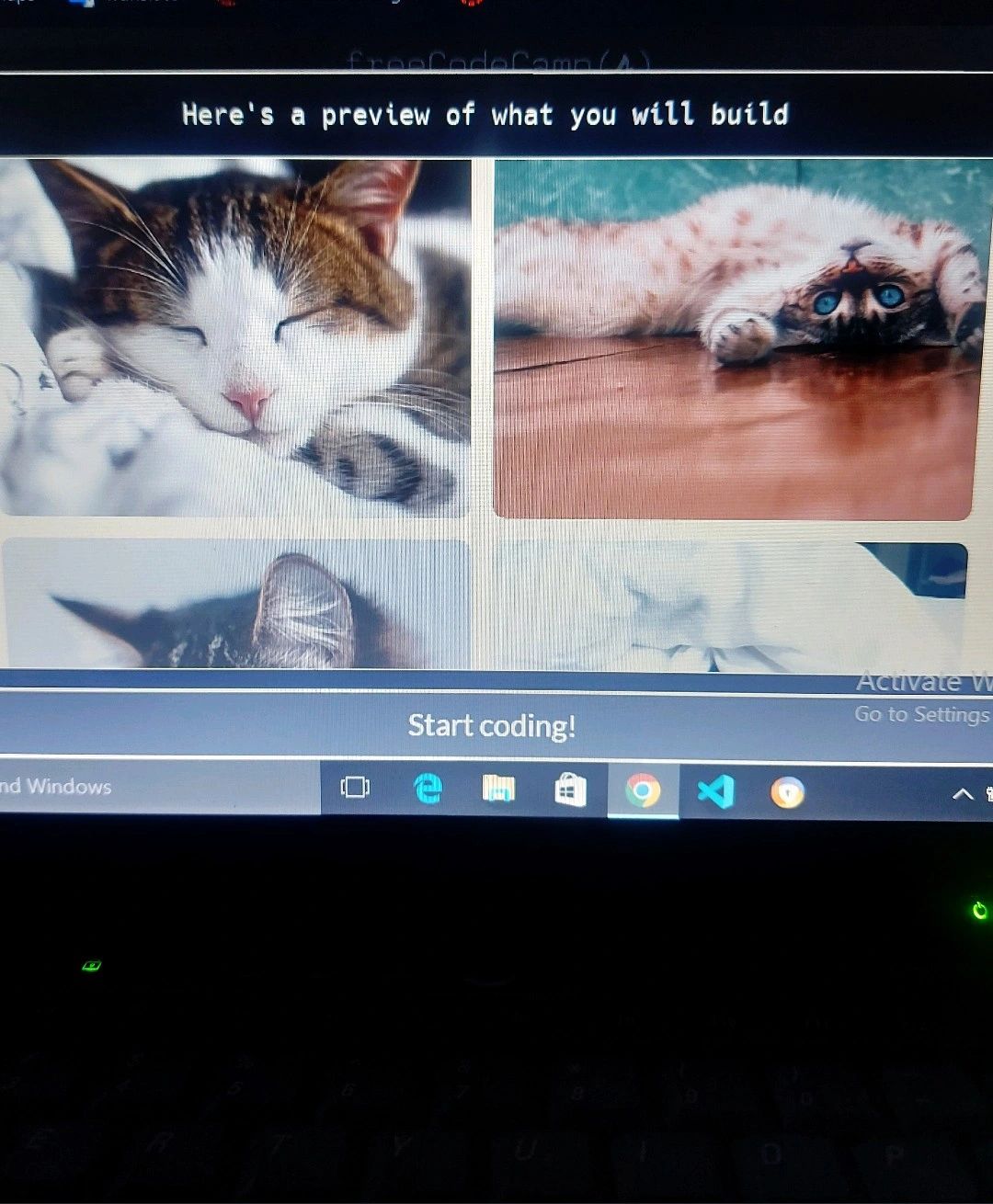 Day 64 of #100daysofcode challenge with a cute freeCodeCamp project ... Day 64 of #100daysofcode challenge with a cute freeCodeCamp project ...