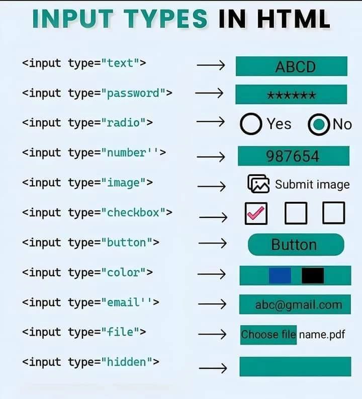 Mohd Salman on LinkedIn: #html #css #javascript #reactjs Mohd Salman on LinkedIn: #html #css #javascript #reactjs