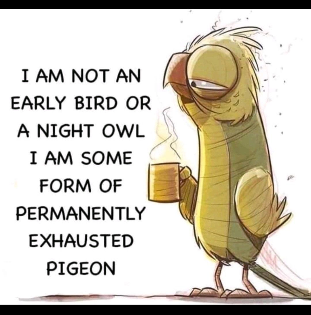 Sabeena Faiz on LinkedIn: so true on many days... Sabeena Faiz on LinkedIn: so true on many days...