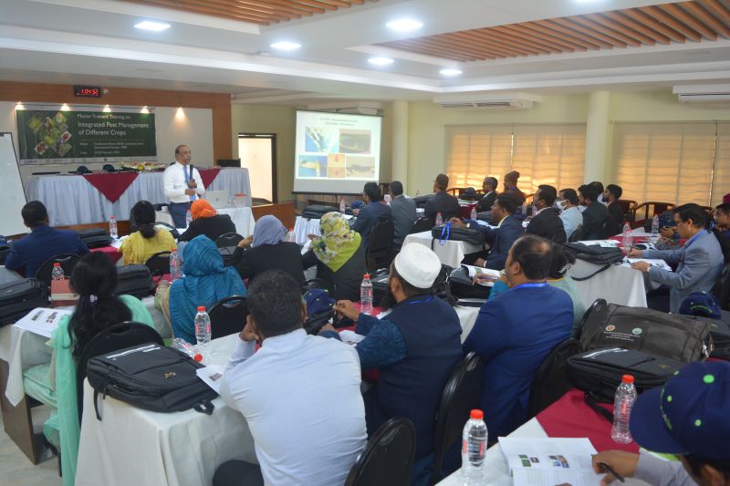 #funded_usaid_bangladesh #cimmyt | Tareq Ahmed #funded_usaid_bangladesh #cimmyt | Tareq Ahmed