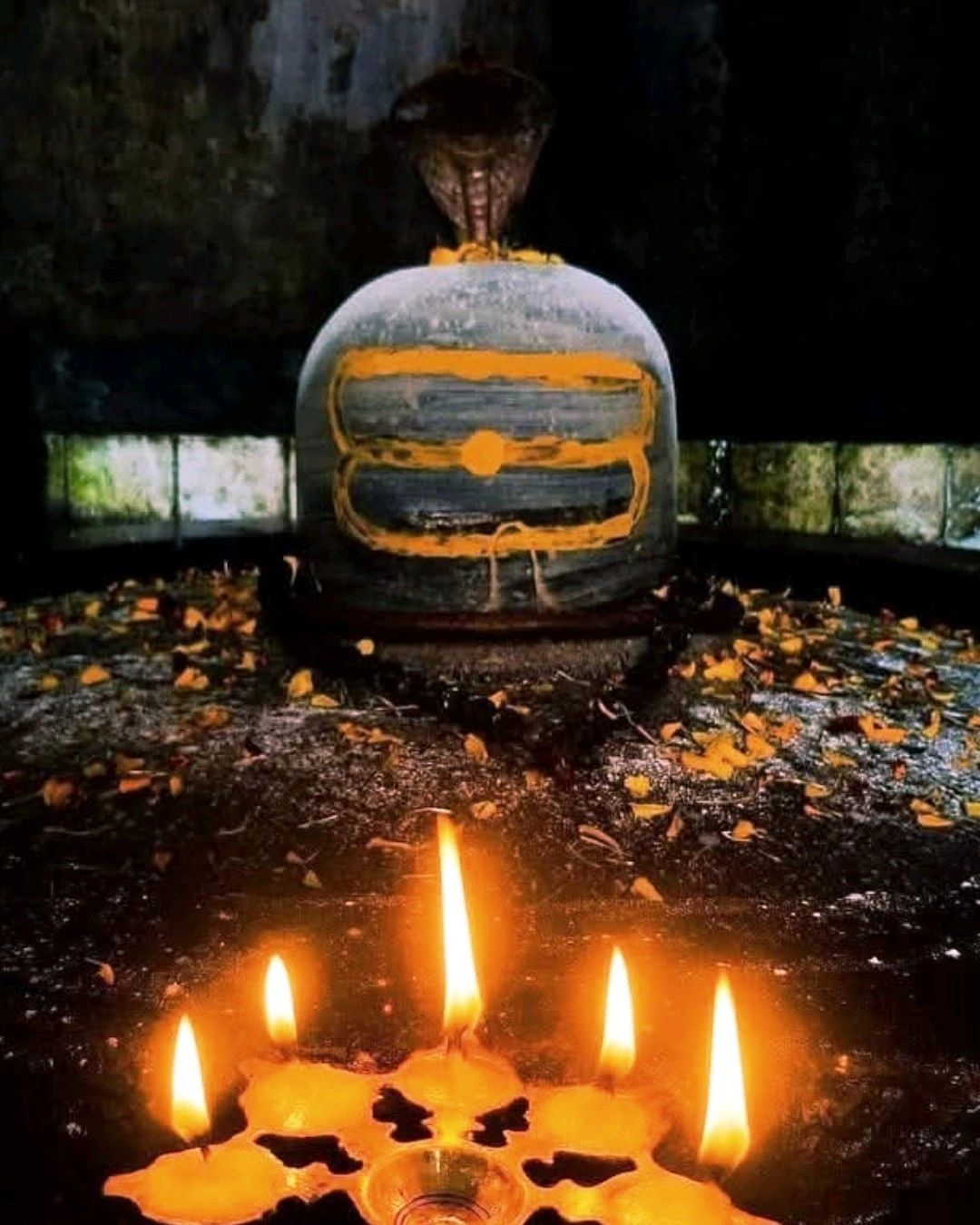 Shiva Jayashree on LinkedIn: Humility leads to compassion. Compassion ... Shiva Jayashree on LinkedIn: Humility leads to compassion. Compassion ...