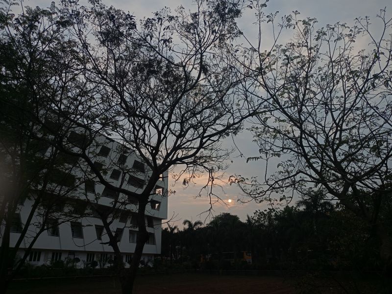 #owlcoders #dsa #codingjourney #dsa | Madhumitha Akula | 10 comments #owlcoders #dsa #codingjourney #dsa | Madhumitha Akula | 10 comments