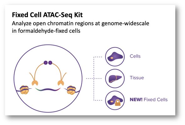 Active Motif on LinkedIn: #atacseq #epigenetics #immunology #genomics # ... Active Motif on LinkedIn: #atacseq #epigenetics #immunology #genomics # ...