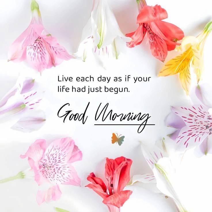 GOVIND RAJ E. K. on LinkedIn: Greetings of the day dear people. GOVIND RAJ E. K. on LinkedIn: Greetings of the day dear people.