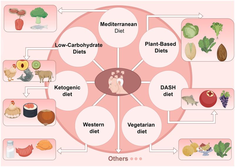 Frank Bernier, PhD, MSc, CIP on LinkedIn: #diet #neuroscience # ... Frank Bernier, PhD, MSc, CIP on LinkedIn: #diet #neuroscience # ...