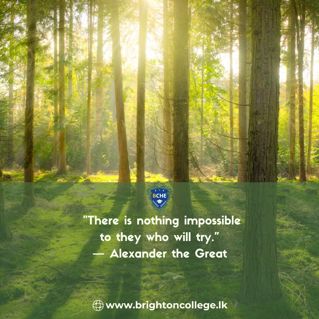 #ielts #mocktest #mockexam #bche | Brighton College of Higher Education #ielts #mocktest #mockexam #bche | Brighton College of Higher Education