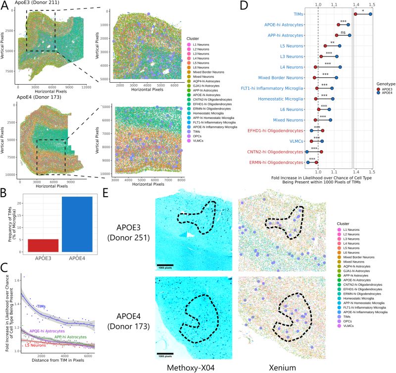Microglial population in AD mice | Frank Bernier, PhD, MSc, CIP posted ... Microglial population in AD mice | Frank Bernier, PhD, MSc, CIP posted ...