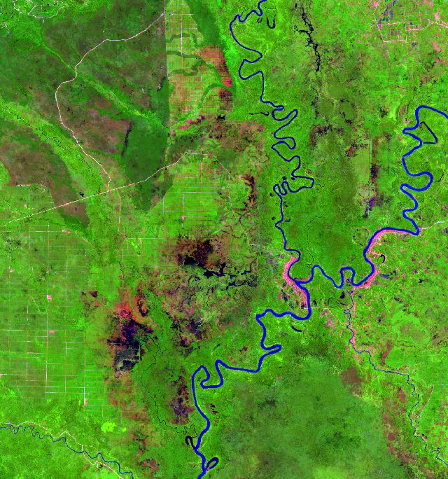 Muhammad Fajar Tegar Wahyudi on LinkedIn: #remotesensing #gis # ... Muhammad Fajar Tegar Wahyudi on LinkedIn: #remotesensing #gis # ...