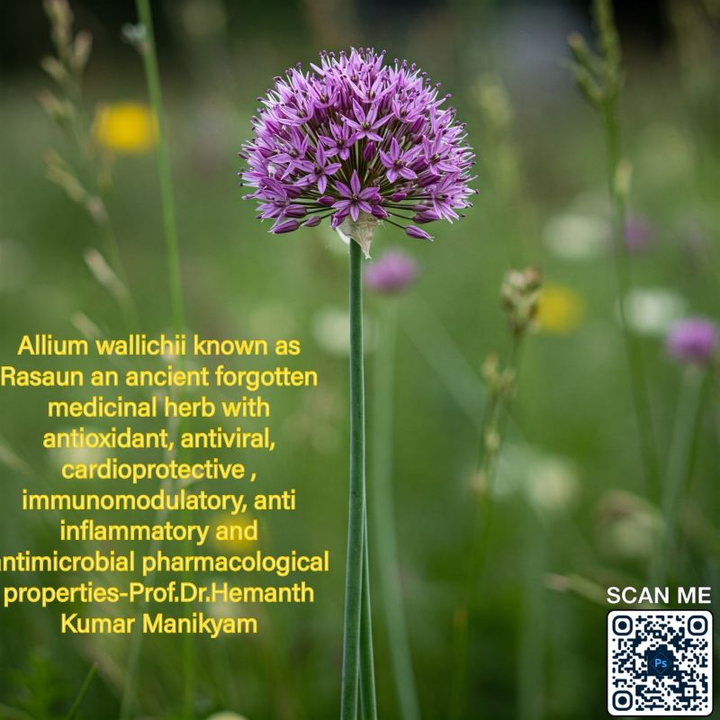 #herbs #plants | Prof.Dr.Hemanthkumar Manikyam #herbs #plants | Prof.Dr.Hemanthkumar Manikyam