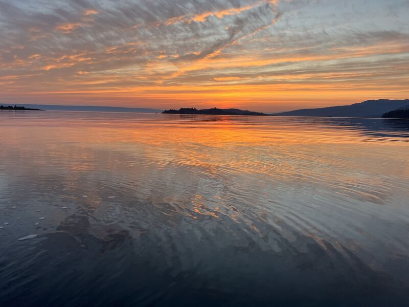 Trung Vo on LinkedIn: First one is sunrise fishing, the rest are field ... Trung Vo on LinkedIn: First one is sunrise fishing, the rest are field ...