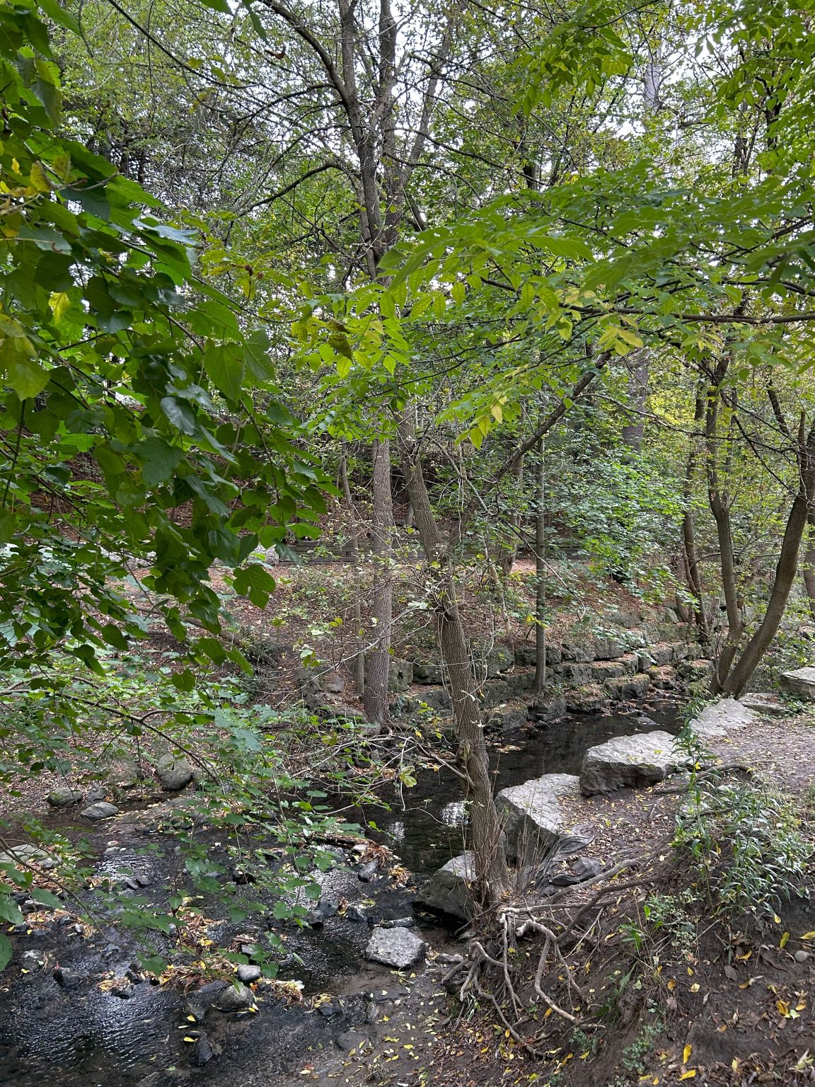 Dhruv Pasricha on LinkedIn: #bike #greenspaces #sustainable #resilient ... Dhruv Pasricha on LinkedIn: #bike #greenspaces #sustainable #resilient ...