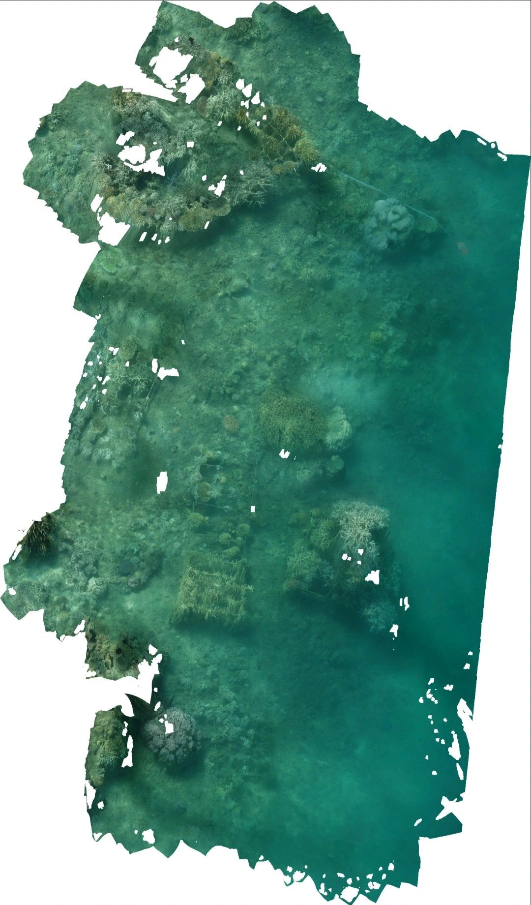 Enhancing Coral Reef Monitoring Technique Only 6 years ago when I ... Enhancing Coral Reef Monitoring Technique Only 6 years ago when I ...