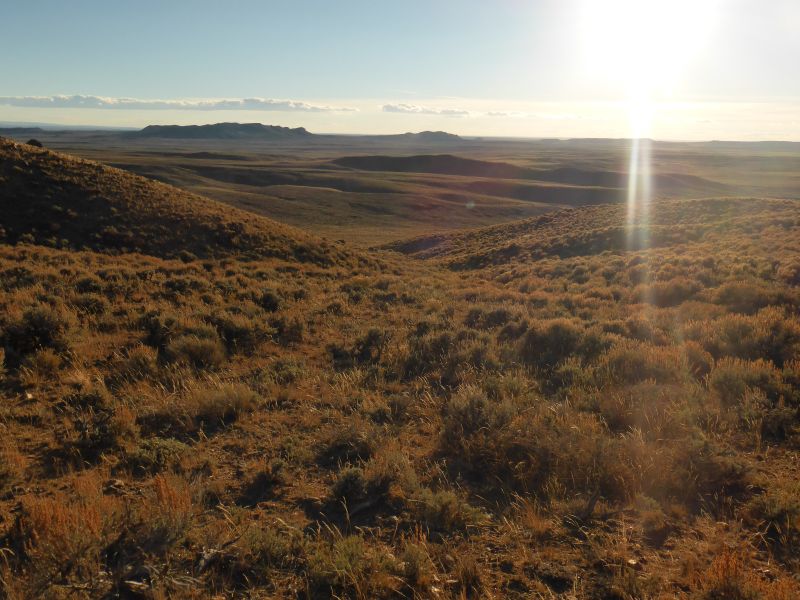 University of Wyoming School of Energy Resources on LinkedIn: Share ... University of Wyoming School of Energy Resources on LinkedIn: Share ...