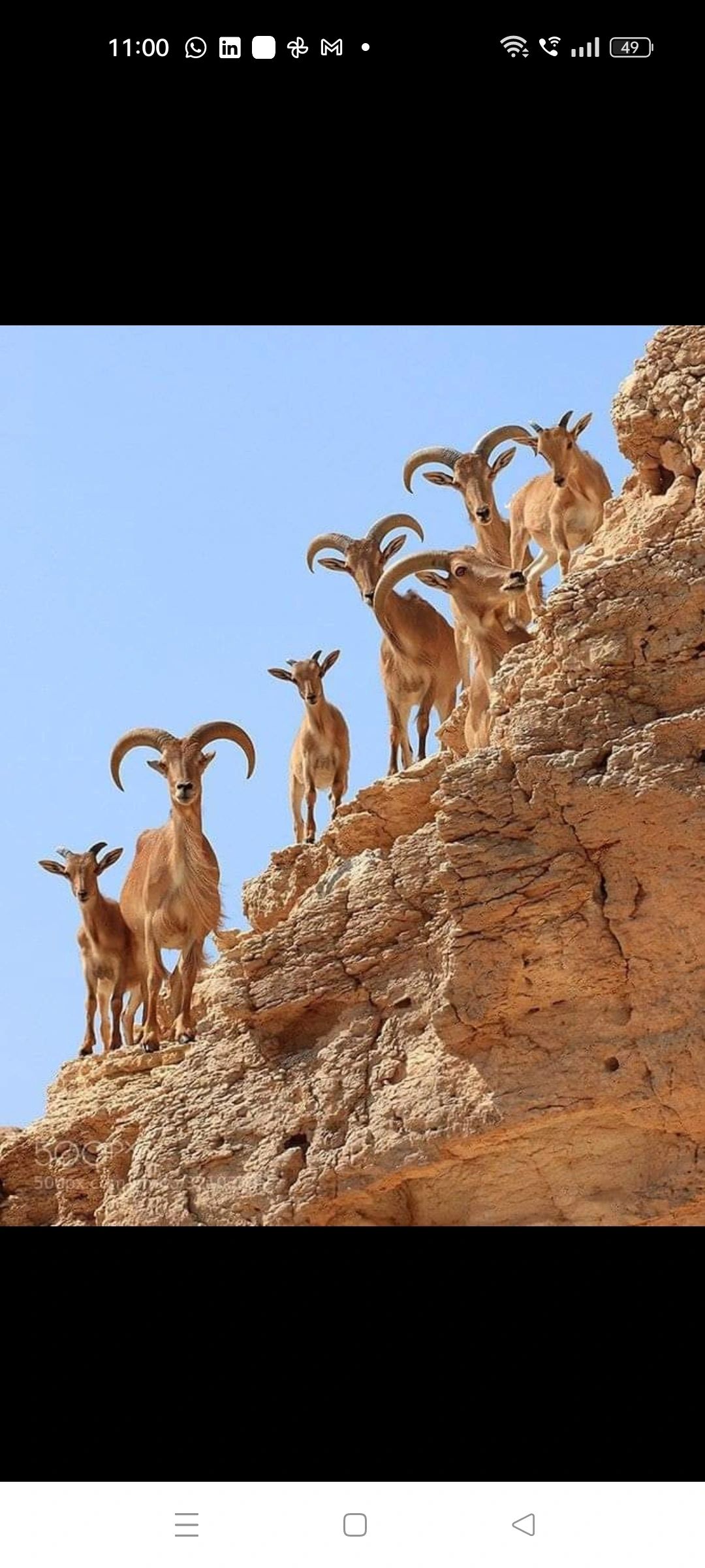Vikas Kuthiala on LinkedIn: Dear Fellow Angel Investors, Please ... Vikas Kuthiala on LinkedIn: Dear Fellow Angel Investors, Please ...