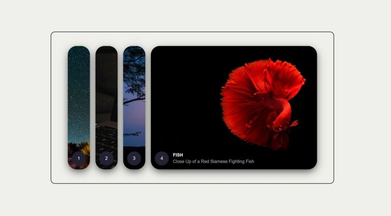 Deependra Rao on LinkedIn: HTML & CSS Animated Cards Project #html #css ... Deependra Rao on LinkedIn: HTML & CSS Animated Cards Project #html #css ...