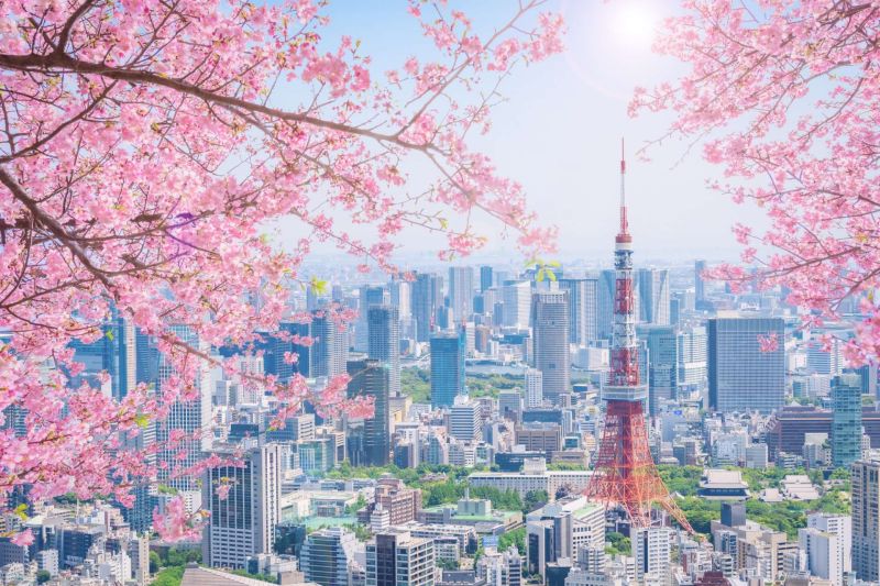 #sap #meetup | Sana Masuda #sap #meetup | Sana Masuda