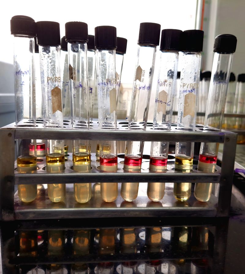 Md. Tarikul Islam on LinkedIn: Indole test... Md. Tarikul Islam on LinkedIn: Indole test...
