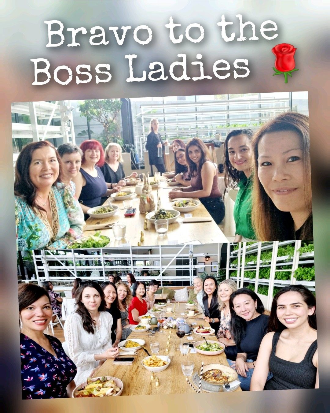 Lassie Zia's International Boss Ladies posted on LinkedIn Lassie Zia's International Boss Ladies posted on LinkedIn