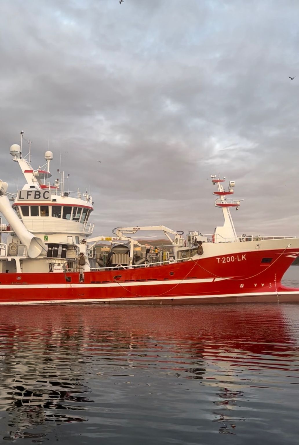 Monica G. Sperre on LinkedIn: #pelagic #fishery #fishingindustry #ships Monica G. Sperre on LinkedIn: #pelagic #fishery #fishingindustry #ships