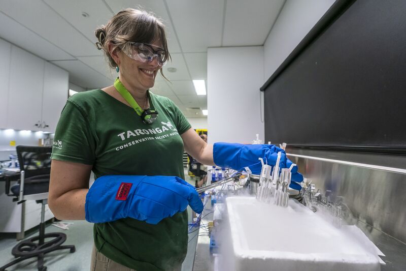 Reef Restoration and Adaptation Program on LinkedIn: RRAP research ... Reef Restoration and Adaptation Program on LinkedIn: RRAP research ...