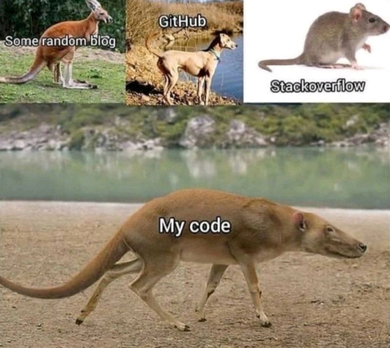 Md. Omar Faruk on LinkedIn: #programming #codewisely #skilldevelopment ... Md. Omar Faruk on LinkedIn: #programming #codewisely #skilldevelopment ...