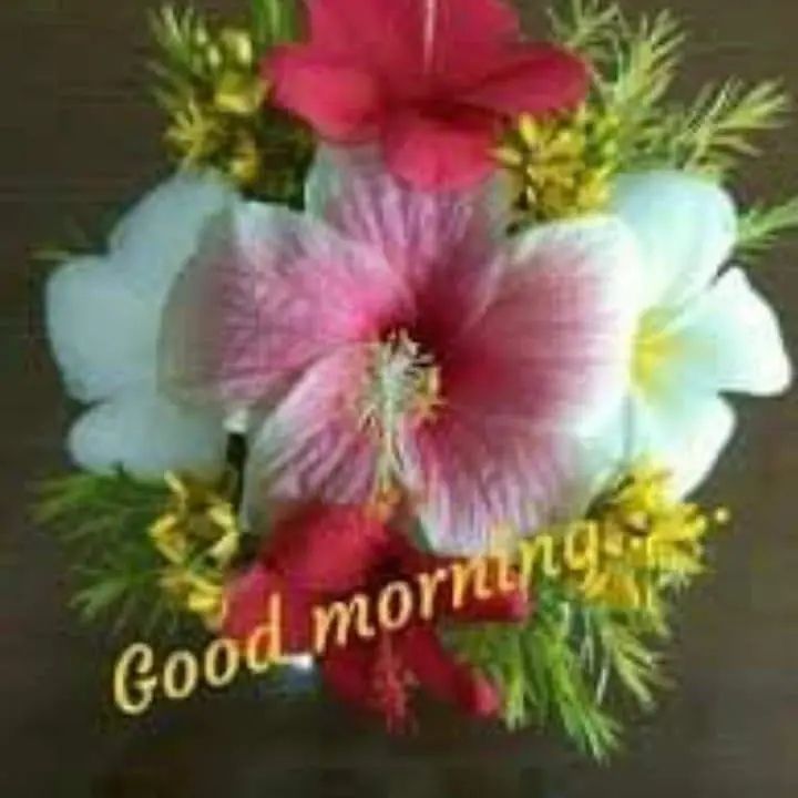 Piyush Kumar Mahto on LinkedIn: #piyushkumarmahto #joharjharkhand Piyush Kumar Mahto on LinkedIn: #piyushkumarmahto #joharjharkhand