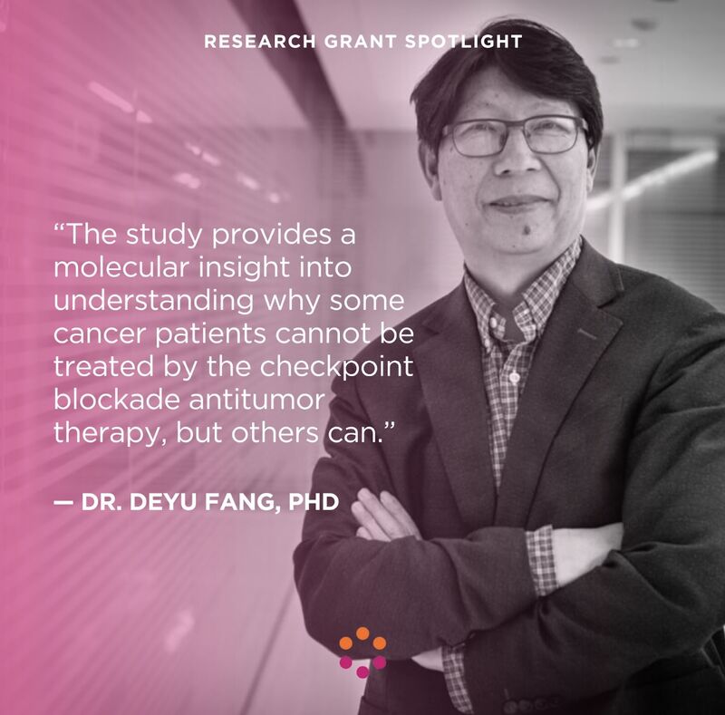 Lynn Sage Breast Cancer Foundation on LinkedIn: # ... Lynn Sage Breast Cancer Foundation on LinkedIn: # ...
