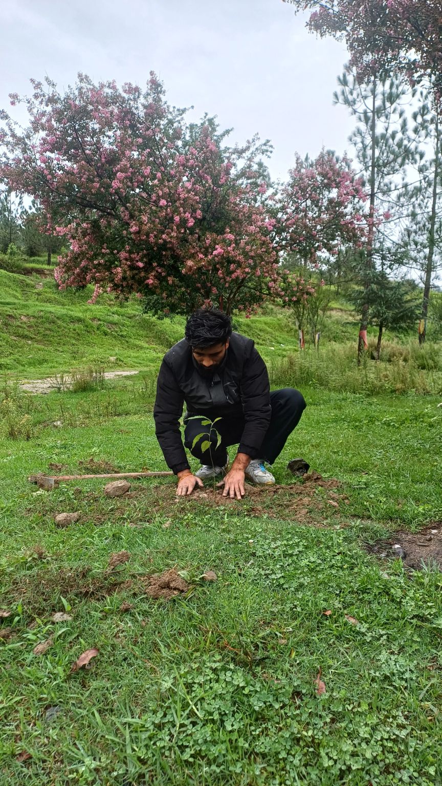 Bishal Koirala on LinkedIn: #plantation #gogreen #plantatree #ghatalbaba Bishal Koirala on LinkedIn: #plantation #gogreen #plantatree #ghatalbaba