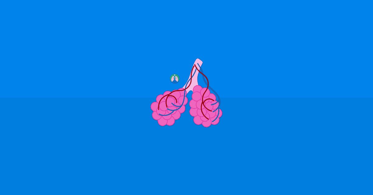 Luke Ellison on LinkedIn: Emphysema: Overview and Practice Questions (2024) Luke Ellison on LinkedIn: Emphysema: Overview and Practice Questions (2024)