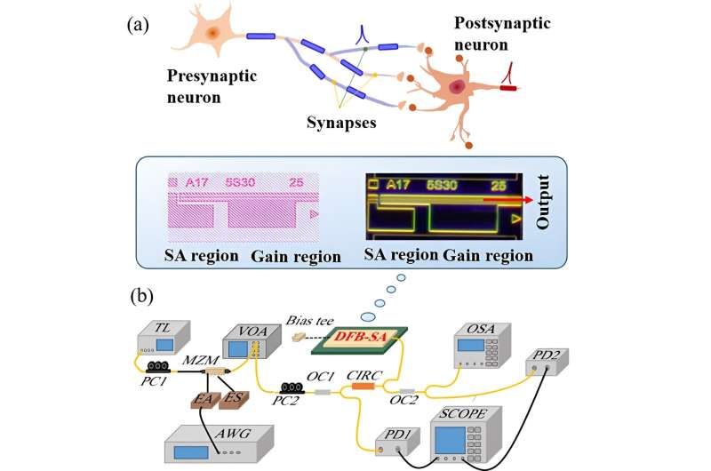 AIPressRoom on LinkedIn: Multi-synaptic photonic spiking neural ... AIPressRoom on LinkedIn: Multi-synaptic photonic spiking neural ...