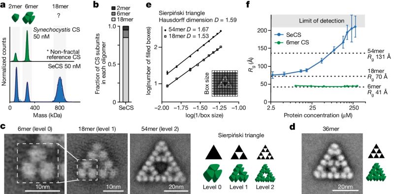 Peter C. Y. Lau, PhD on LinkedIn: These newly discovered enzyme ... Peter C. Y. Lau, PhD on LinkedIn: These newly discovered enzyme ...