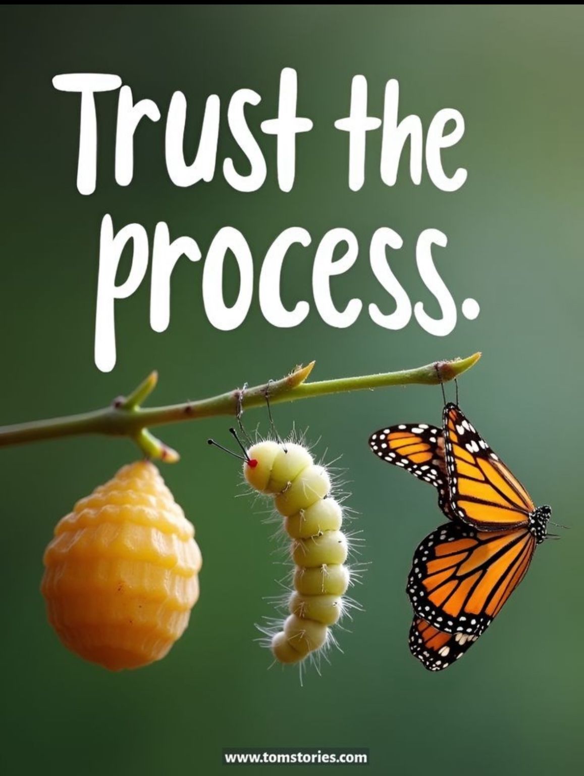 Dr. Anwar Obeidat on LinkedIn: #faith #resilience | 17 comments Dr. Anwar Obeidat on LinkedIn: #faith #resilience | 17 comments